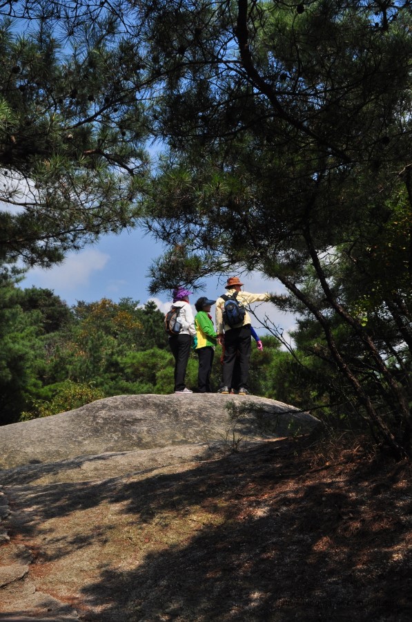 서울 가볼만한 곳 인왕산 산책로 서울 트레킹 코스 인왕산 성곽길 인왕산 등산로 인왕산 호랑이 주말나들이