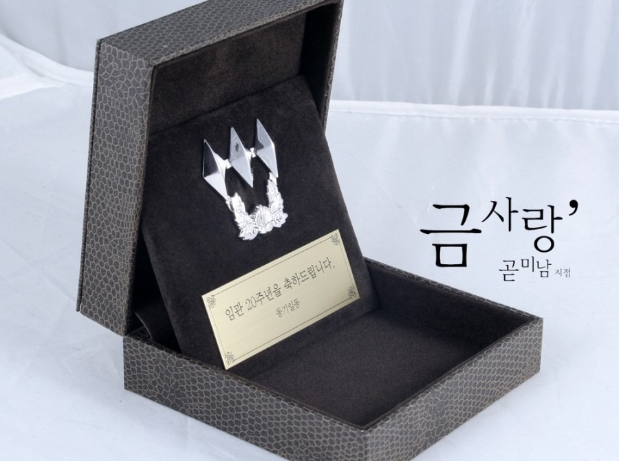 대위계급장 진급선물 취임기념선물 순금실버 군계급장 군 모장견장 네이버 블로그