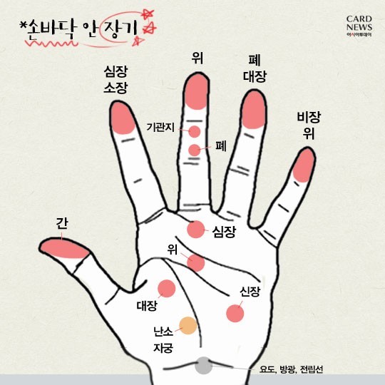 손으로 관리하는 건강 증상별 혈 지압법 네이버 블로그