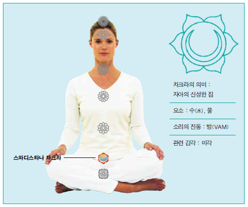 제2차크라 스와디스타나 차크라 천골차크라 네이버 블로그