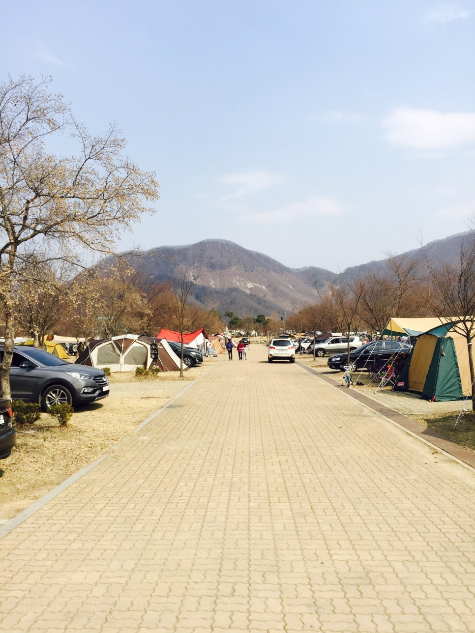 봄캠핑 가평 자라섬 오토캠핑장 네이버 블로그